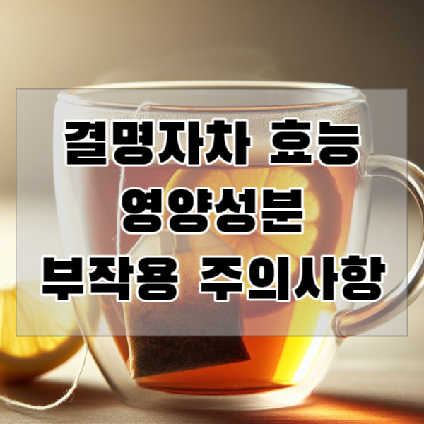 결명자차 효능 영양성분 및 부작용 주의사항
