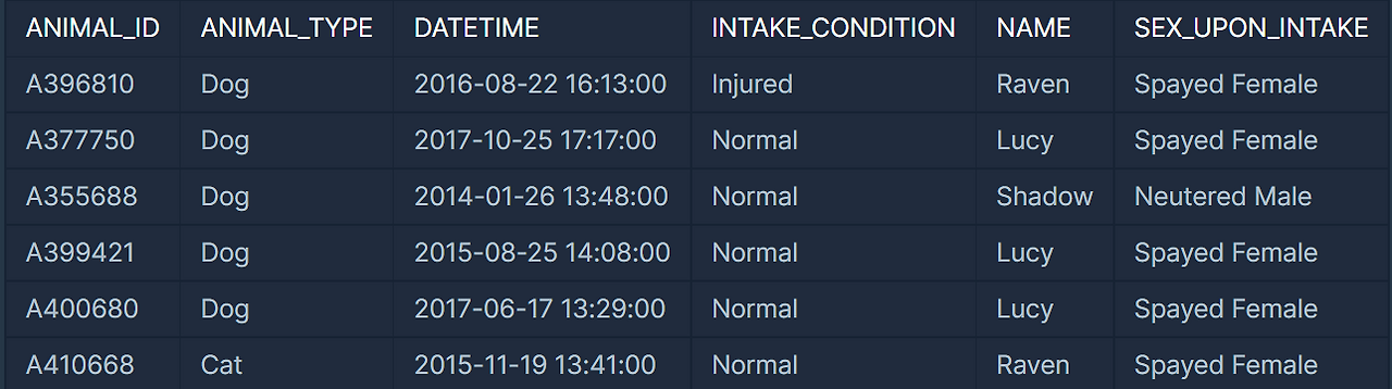 [programmers] SQL Lv. 2 - 동명 동물 수 찾기