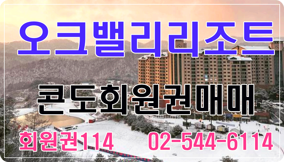 용평콘도 스키시즌 웰리힐리콘도 회원권114