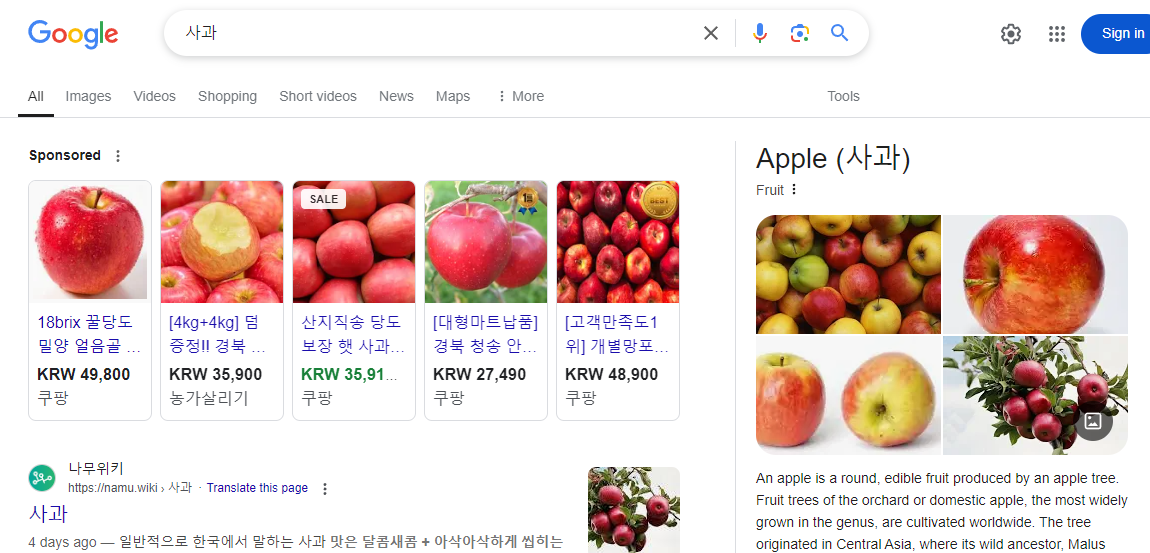 구글 호주구글 우회 접속 완벽 가이드한국에서 막힘없이 이용하는 방법