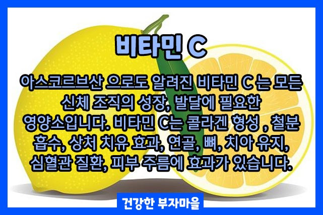 비타민 C 하루 권장량 및 과다복용 부작용 효능