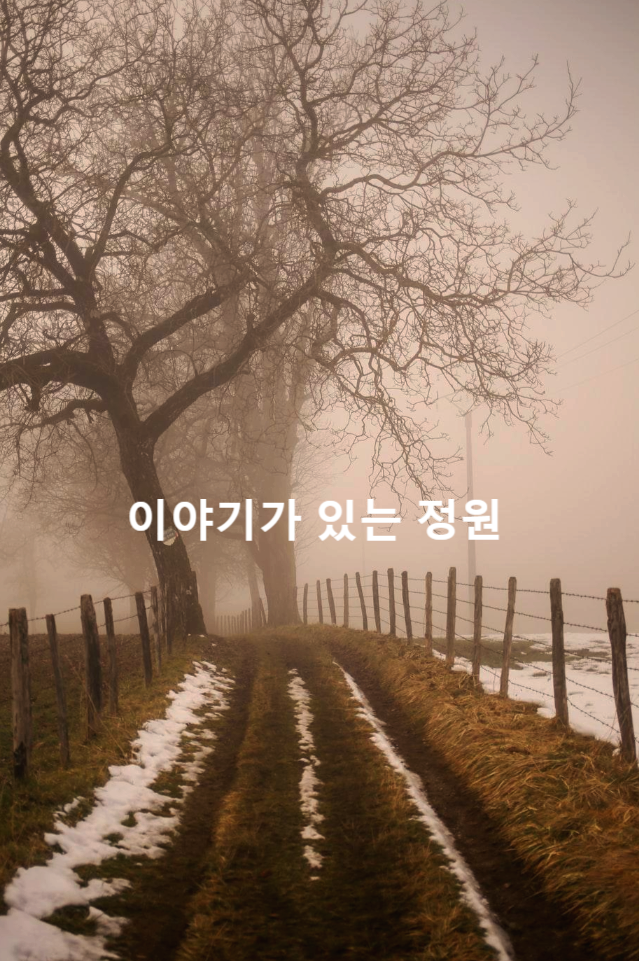 성차와 성역할①맥코비와 재클린 남아와 여아의 능력 차이 성역할 발달 성도식 성유형화 성고정관념 성역할 남성성