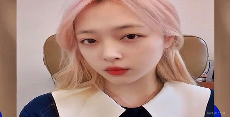 설리 프로필 학력 나이 키 몸무게 혈액형 결혼 이혼