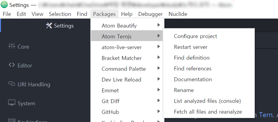 [Atom] atom-ternjs / js 자동완성 플러그인 사용법