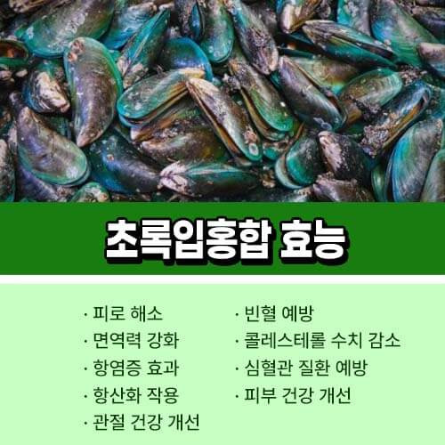 뉴질랜드 초록입홍합 오일 효능 부작용 하루 권장량