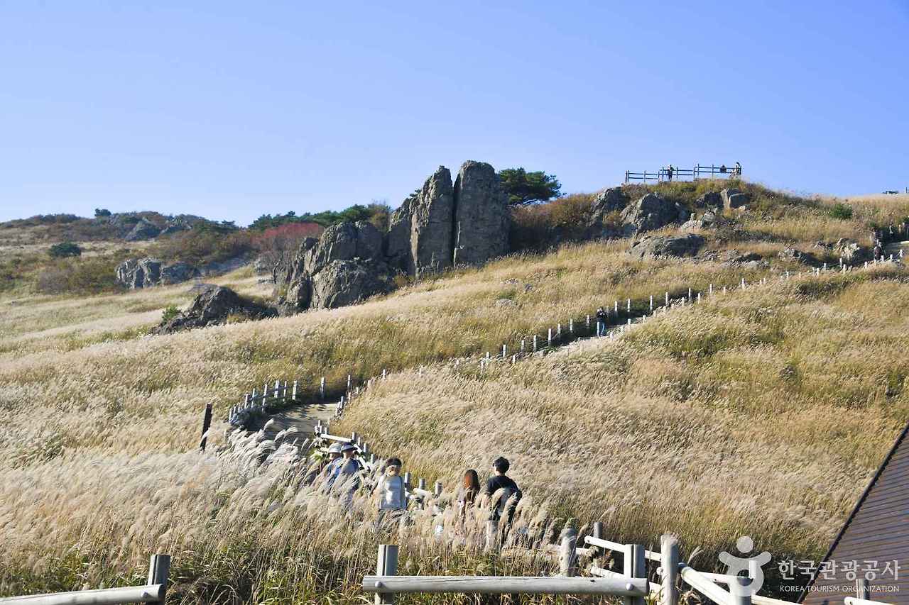울산 간월재 등산코스 완전정복(+등산 시간, 근처 맛집, 억새) | 초보자부터 능선 코스까지 풍경 맛집