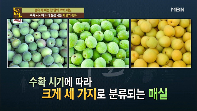 매실 효능 6가지 부작용 주의사항 매실 매실청 하루 권장섭취량 수확시기