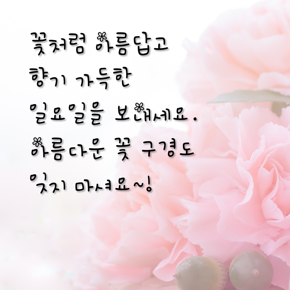 일요일 아침 인사말 문구 이미지 모음