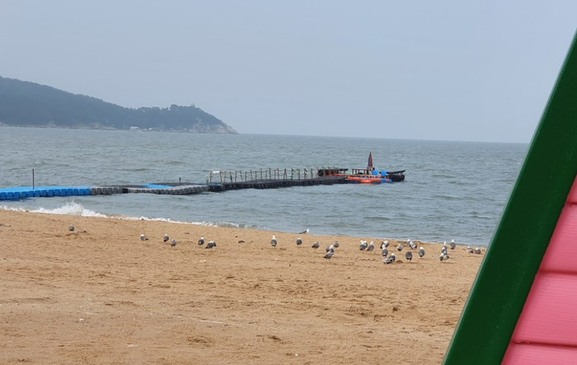 왕산해수욕장의 모든 것 총정리인천 해수욕장 추천 인천 가볼만한 곳맛집 주차장 캠핑장 추천