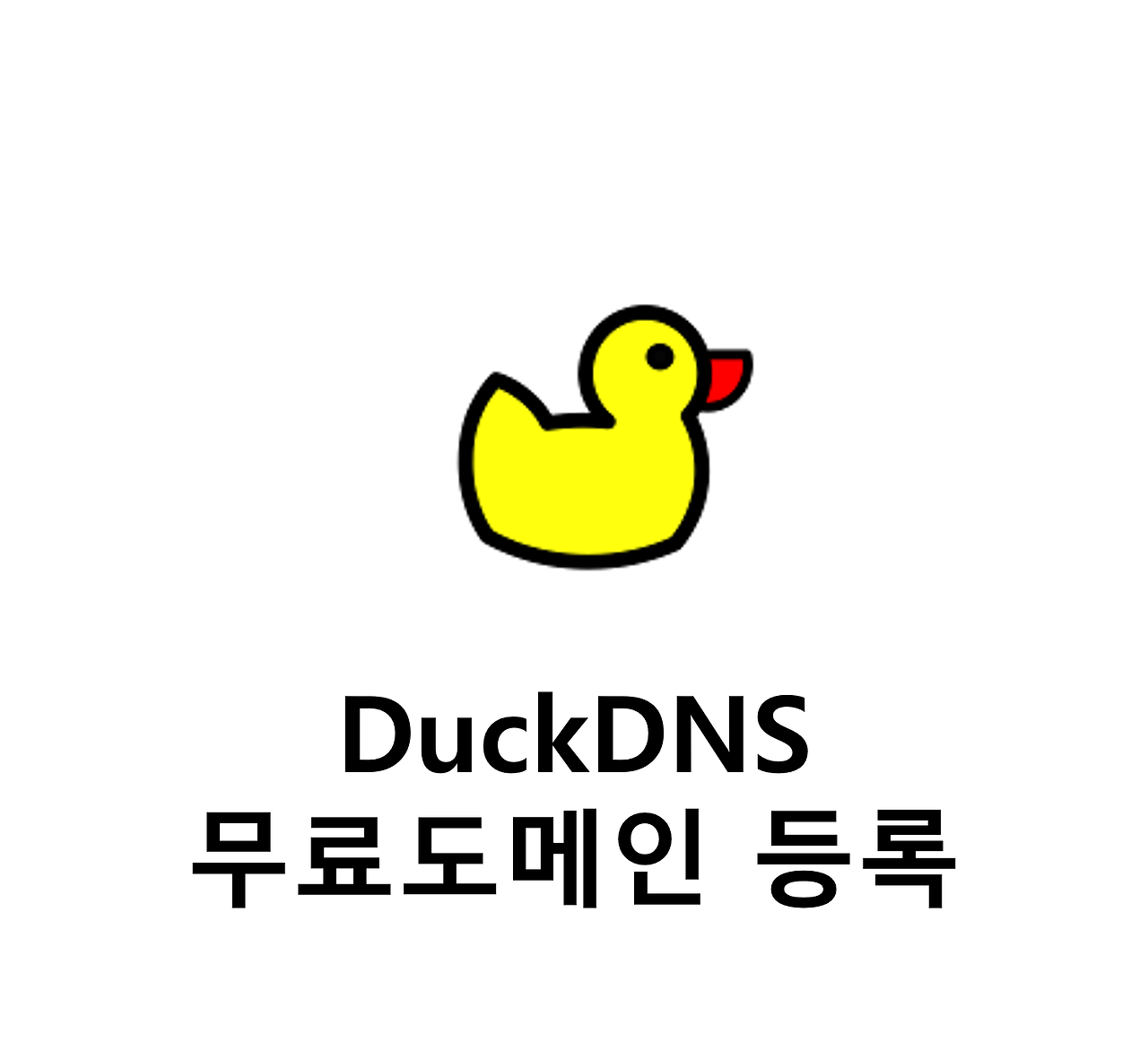 DuckDNS로 무료 도메인 등록하기 — 깃든블로그