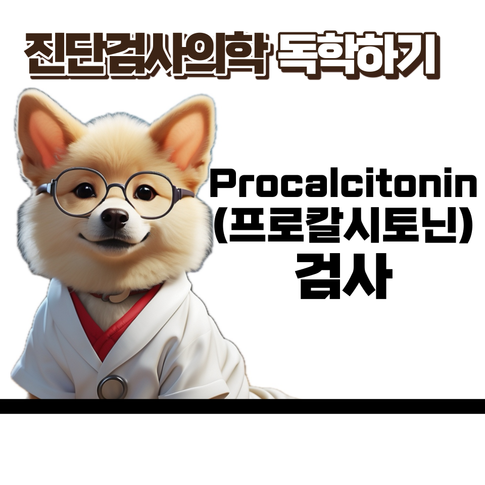 Procalcitonin검사 Pct프로칼시토닌패혈증 검사 염증 수치 Pct검사 Pct정상수치 Pct 결과
