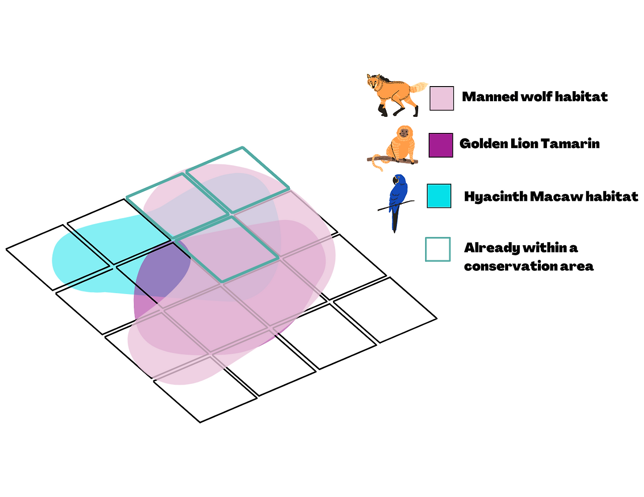 Conservation Solutions with Marxan #9 : Gap Analysis