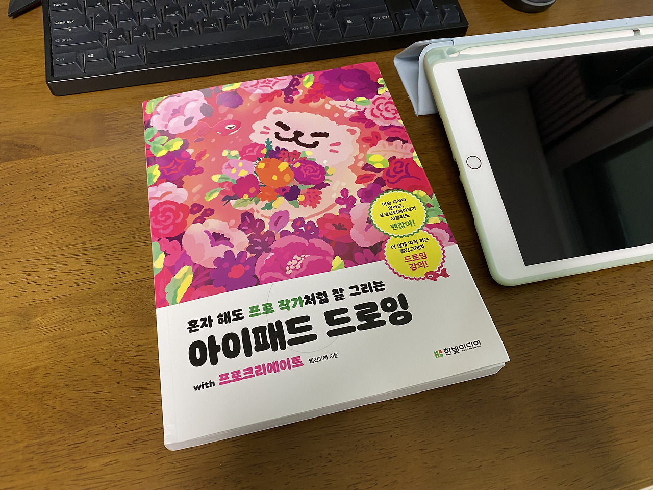 혼자 해도 프로 작가처럼 잘 그리는 아이패드 드로잉 With 프로크리에이트 책 리뷰