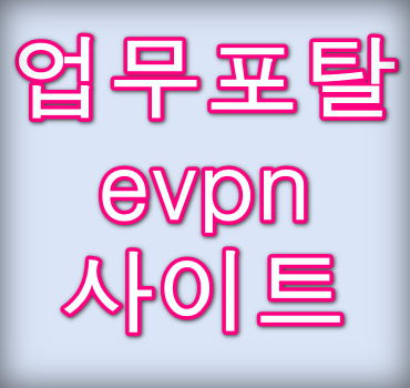 업무포탈 evpn 사이트 및 다운로드 방법