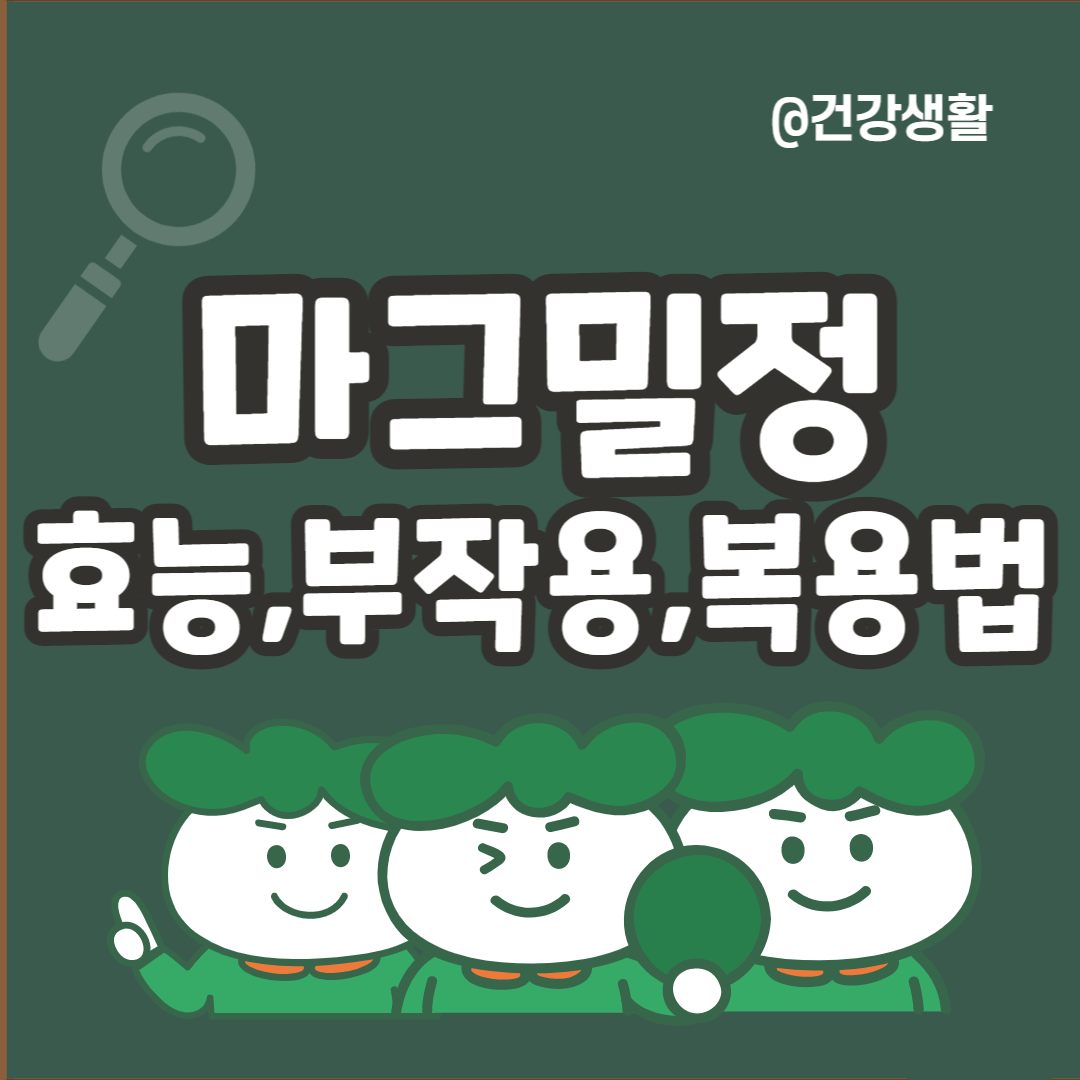 마그밀정 변비약 효과부작용복용법 알아보기
