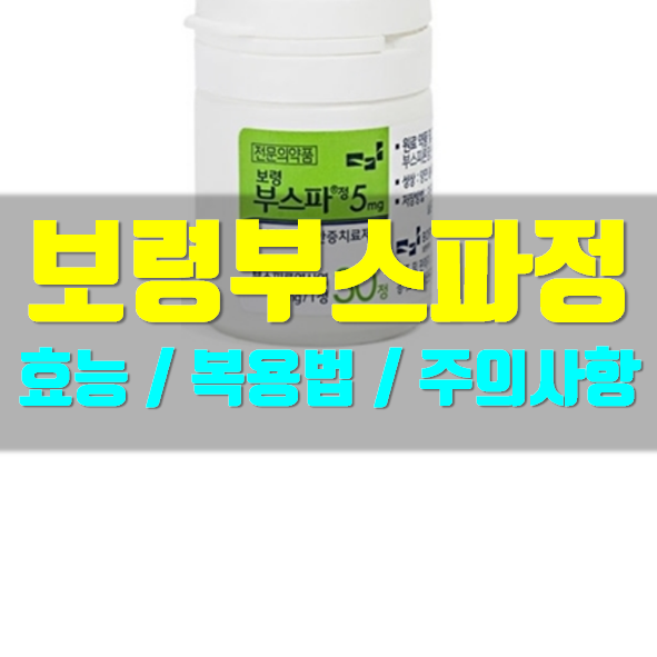 보령 부스파정 5mg 언제 먹는 약인가요
