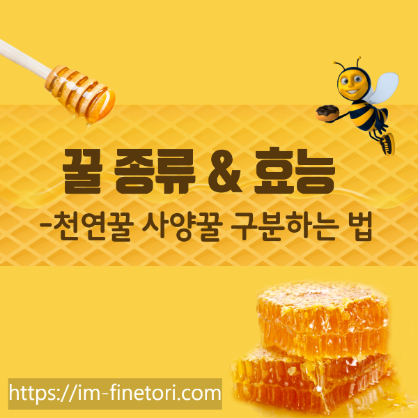 꿀 종류 및 효능 좋은 꿀 기준 천연꿀 잡화꿀 사양벌꿀 가짜꿀 구분하는 법