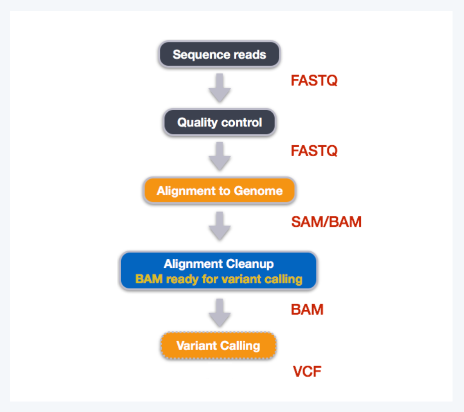 NGS 데이터 파일 형식 및 파일 형식 검증툴 소개