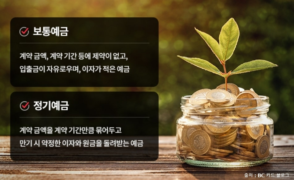 예금 적금 차이 금리비교 간단정리 리얼뉴스