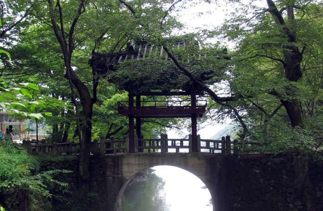 구례 가볼만한 곳 2025 TOP7 – 1박 2일 힐링 여행지 추천 코스 총정리