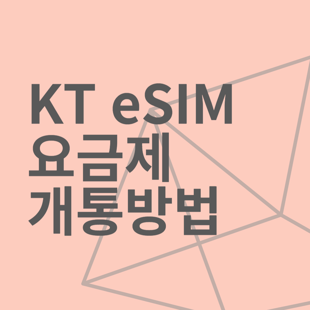 KT eSIM 요금제 정리 | KT eSIM 개통방법 정리