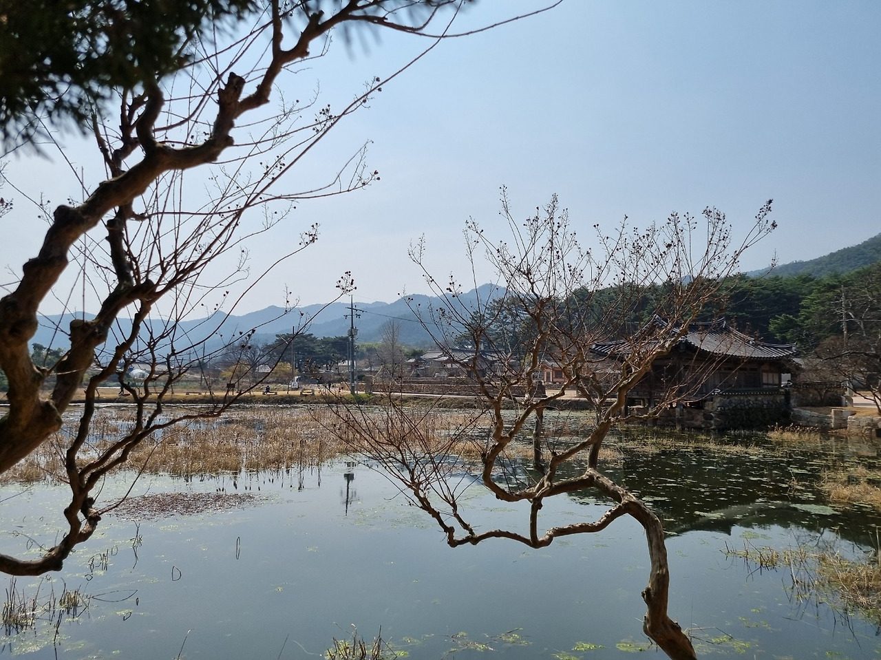 경주 여행경주 가볼만한 곳 경주 드라이브 데이트코스 숨은 명소 서출지