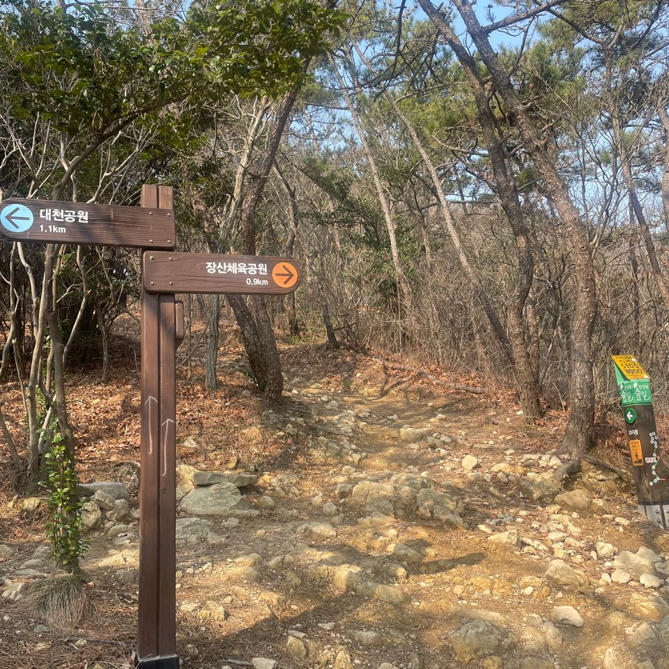 650칼로리 타파가능한 부산 해운대 장산 등산코스 왕복3시간주차안내 정불리의하루