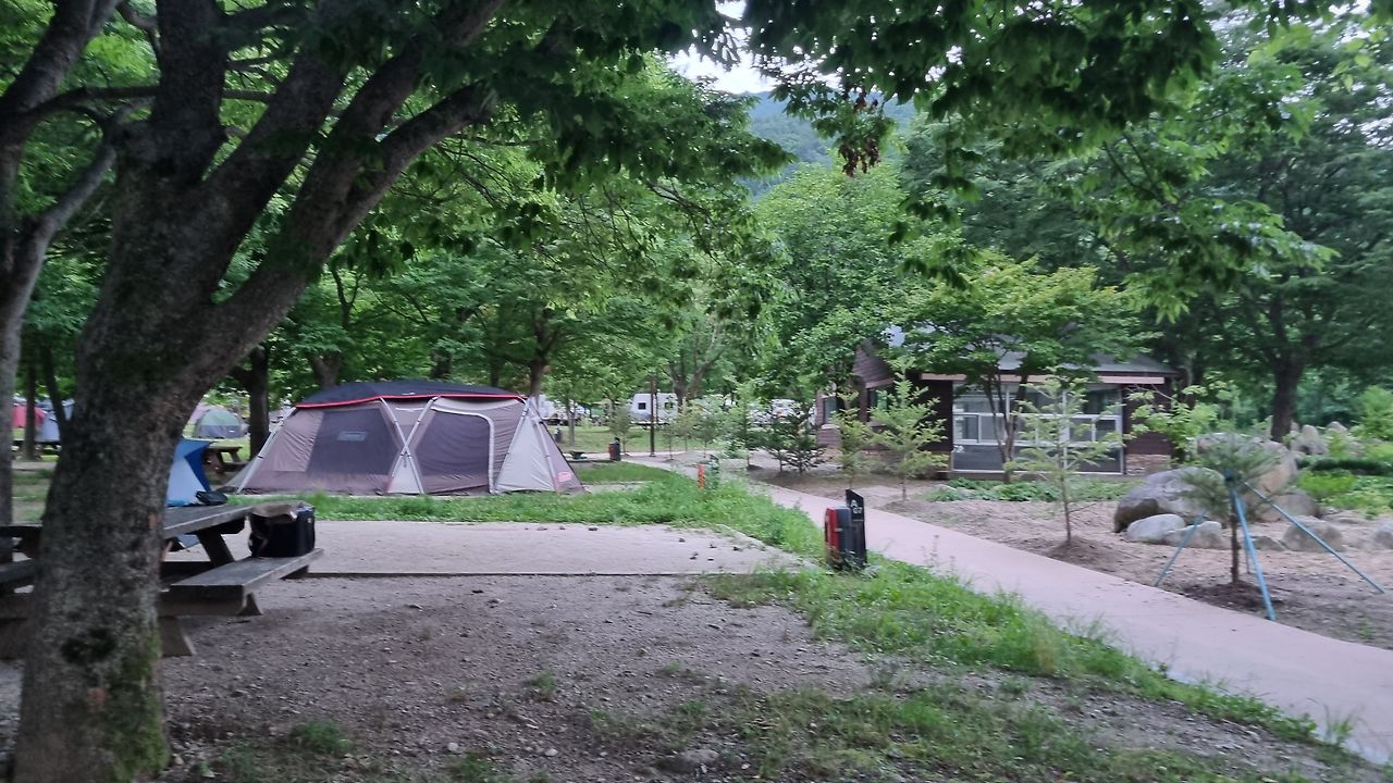 설악산 설악동 캠핑장 야영장 배치도 A영지 국립공원야영장예약 정보