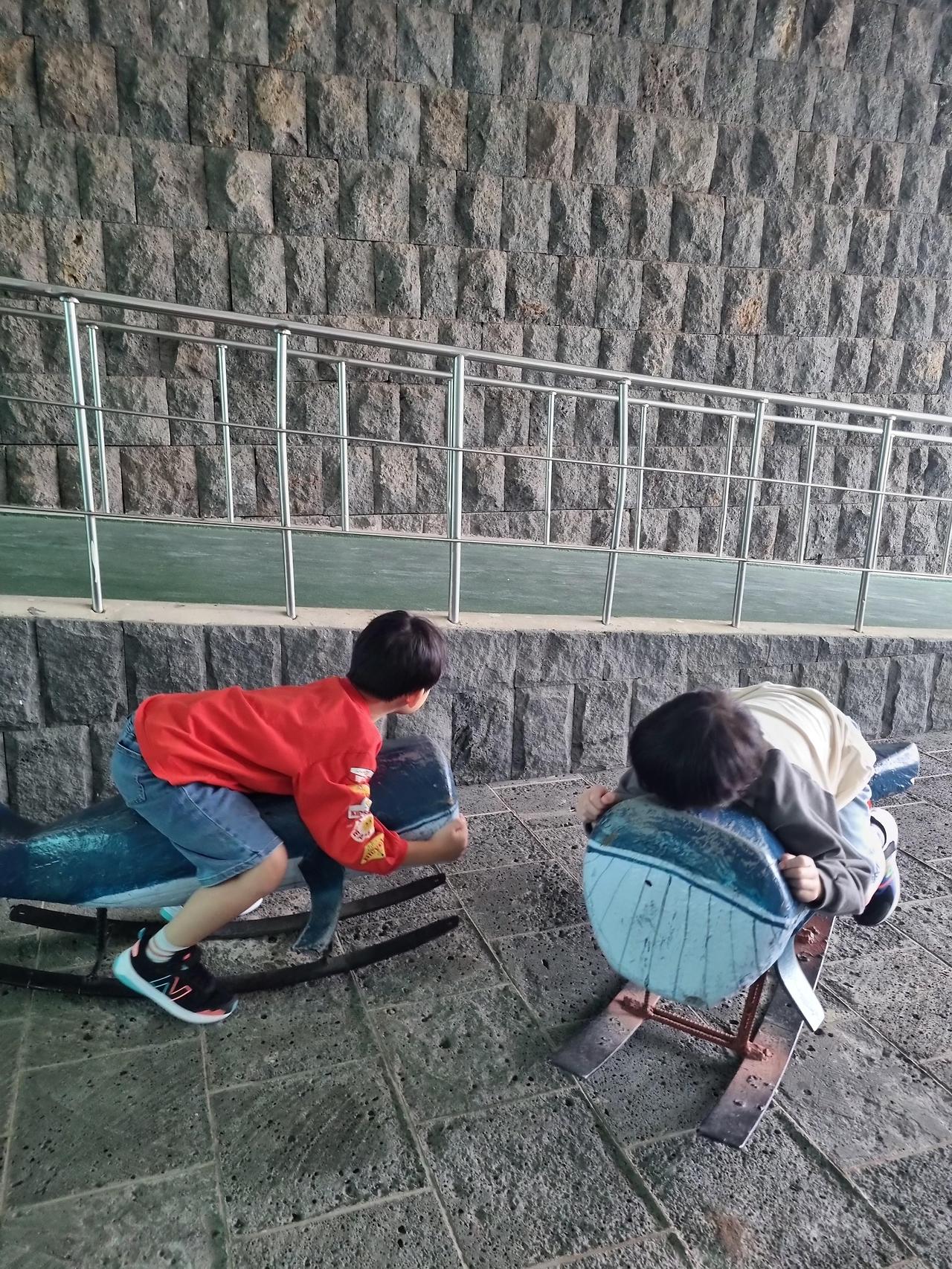 제주도 박물관 제주민속자연사박물관 아이들과 가볼만한 제주 실내 박물관