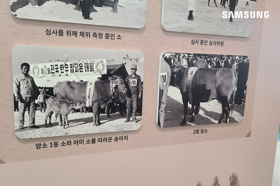수원 가볼 만한 곳 추천 ‘구 부국원에서 열린 무료 전시회