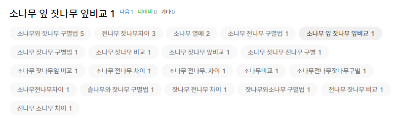 소나무 잣나무 비교 구별법 전나무 차이 스트로브잣나무 가격 특징 종류 열매 송화가루 효능