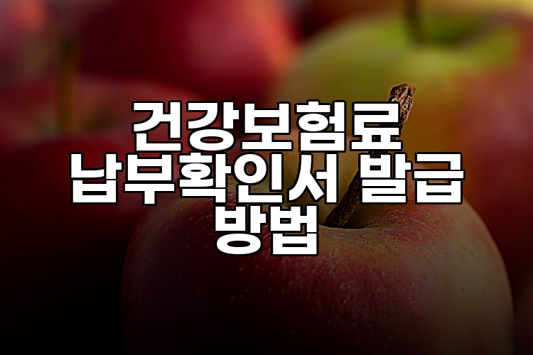 건강보험료 납부확인서납부내역서 발급 방법 2가지 및 후기