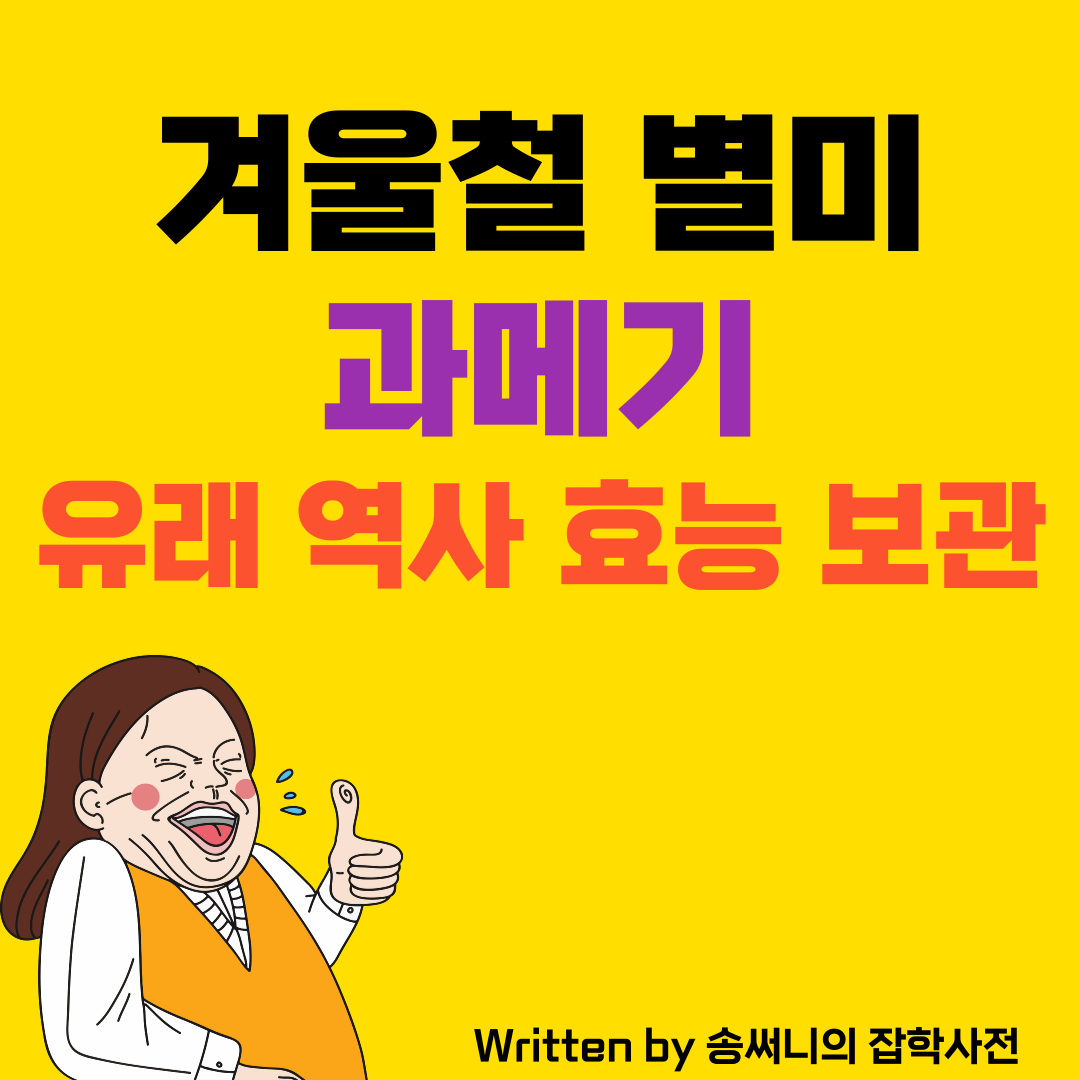 겨울철 별미 과메기 청어과메기와 꽁치과메기의 차이 과메기 효능 과메기 제철 과메기 맛있게 먹는 방법