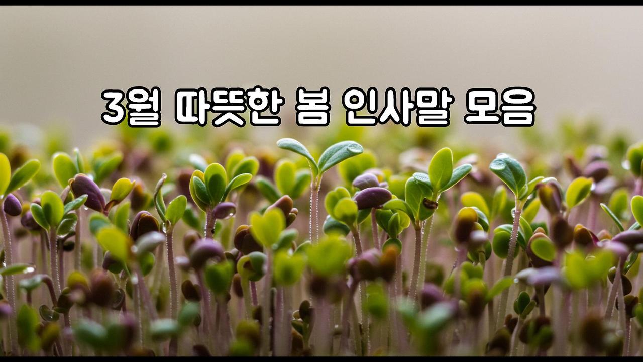 3월 따뜻한 봄 인사말 모음 희망 가득한 3월 카톡·밴드·문자 인사말 추천 봄맞이 인사말 30개 모음 3월에 전하기 좋은