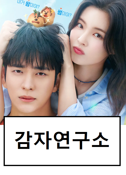 방영 예정 드라마 Tvn 토일 드라마 감자연구소 정보 출연진 원작 Ott