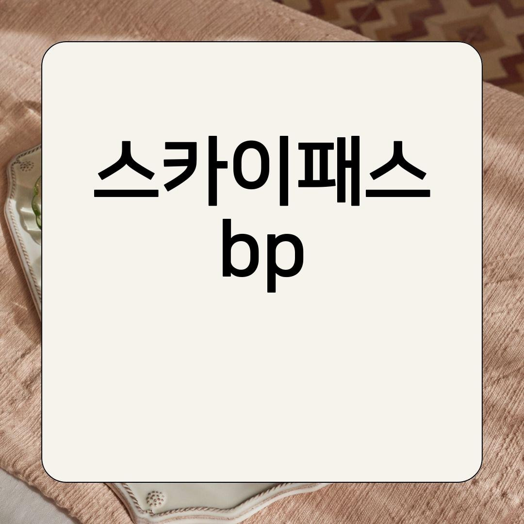 K패스 무제한 키패스뜻 케이패스 K패스청년 스카이패스bp K패스