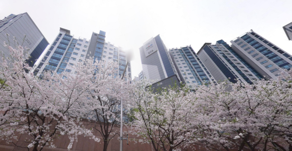 돈의문센트레빌 평면도 시세 매매 전세 실거래가 입지분석 총정리