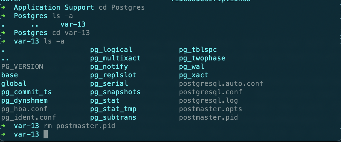 PostgreSQL - The data directory contains an old postmaster.pid file :: 상무
