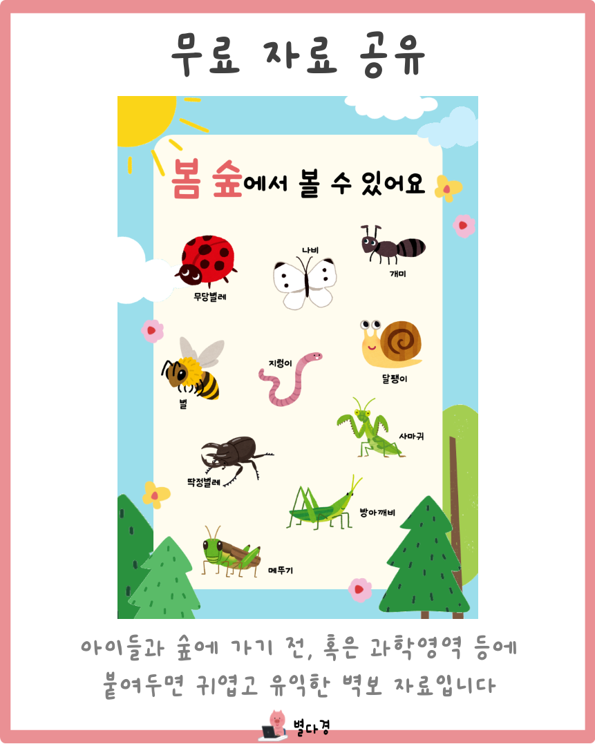 봄 숲 활동 자료 무료 배포｜유치원 어린이집 과학영역 게시용 벽보