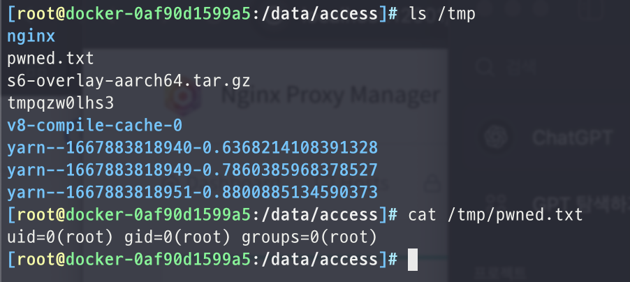 CVE-2023-27224 (NginxProxyManager) — Cronus