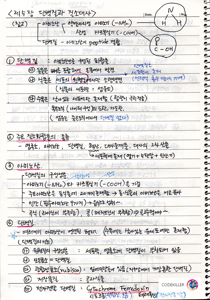 수목생리학 단백질과 질소함유 화합물