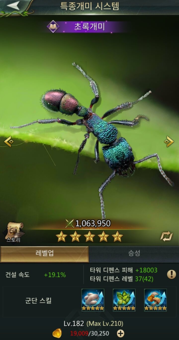 개미군단게임 여왕개미 LV22 달성 꿀팁 (쿠폰,공략,내정개미등)