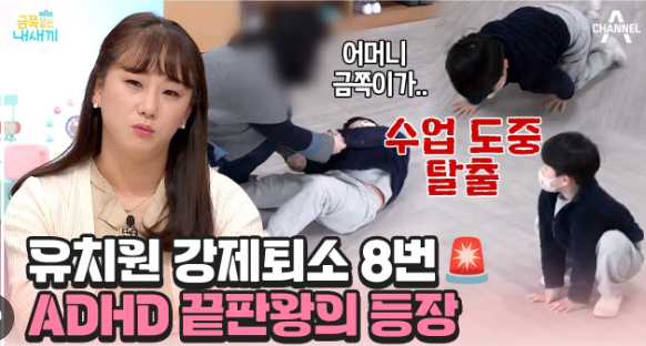 Adhd 진단기준 및 유형 자가진단 테스트 무료 Pdf 공유