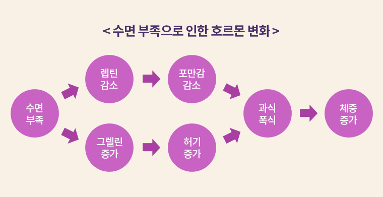 수면 부족이 체중 증가에 미치는 영향