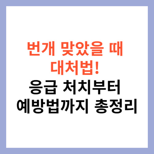 번개 맞았을 때 대처법 응급 처치부터 예방법까지 총정리