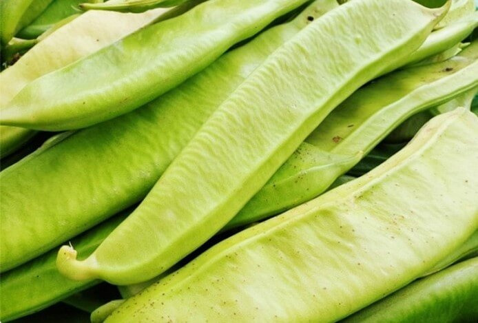 작두콩차 효능 10가지 및 부작용 만드는 법