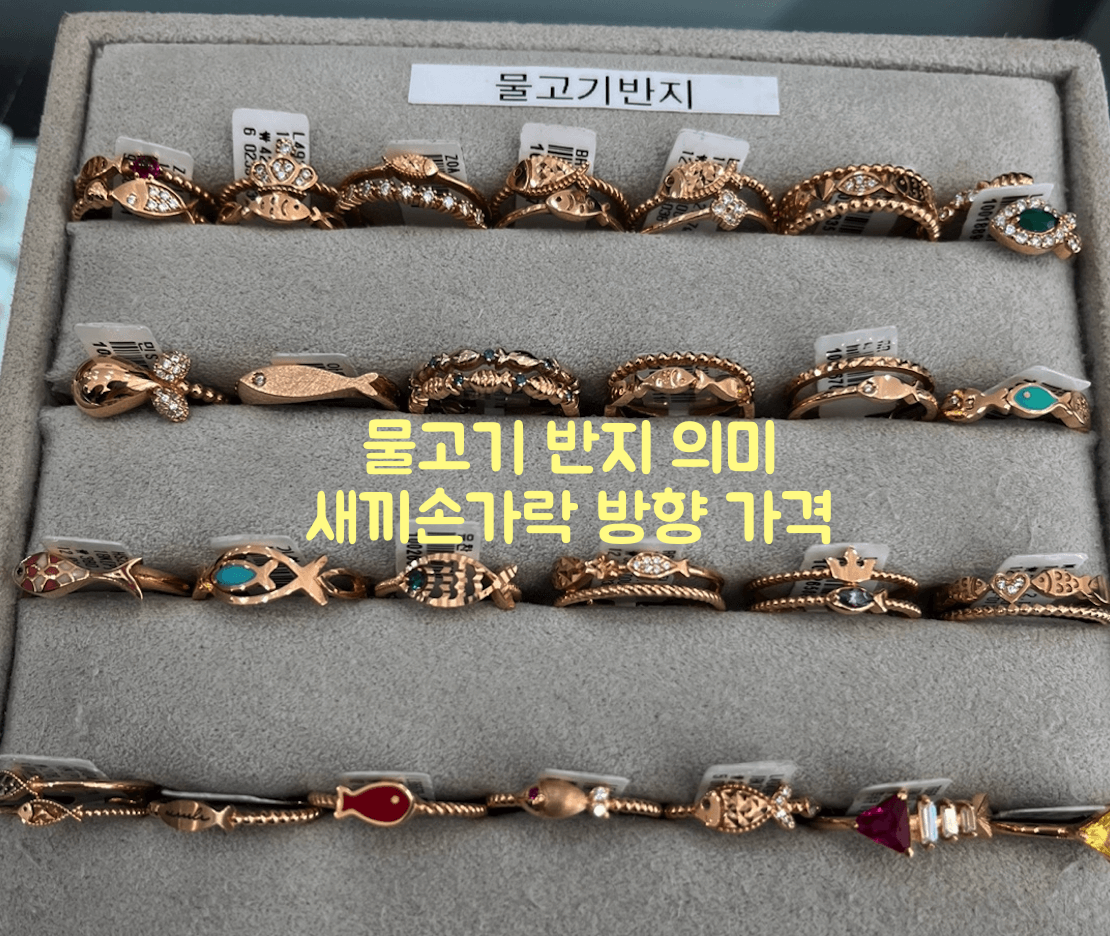 물고기 반지 의미 새끼손가락 방향 가격