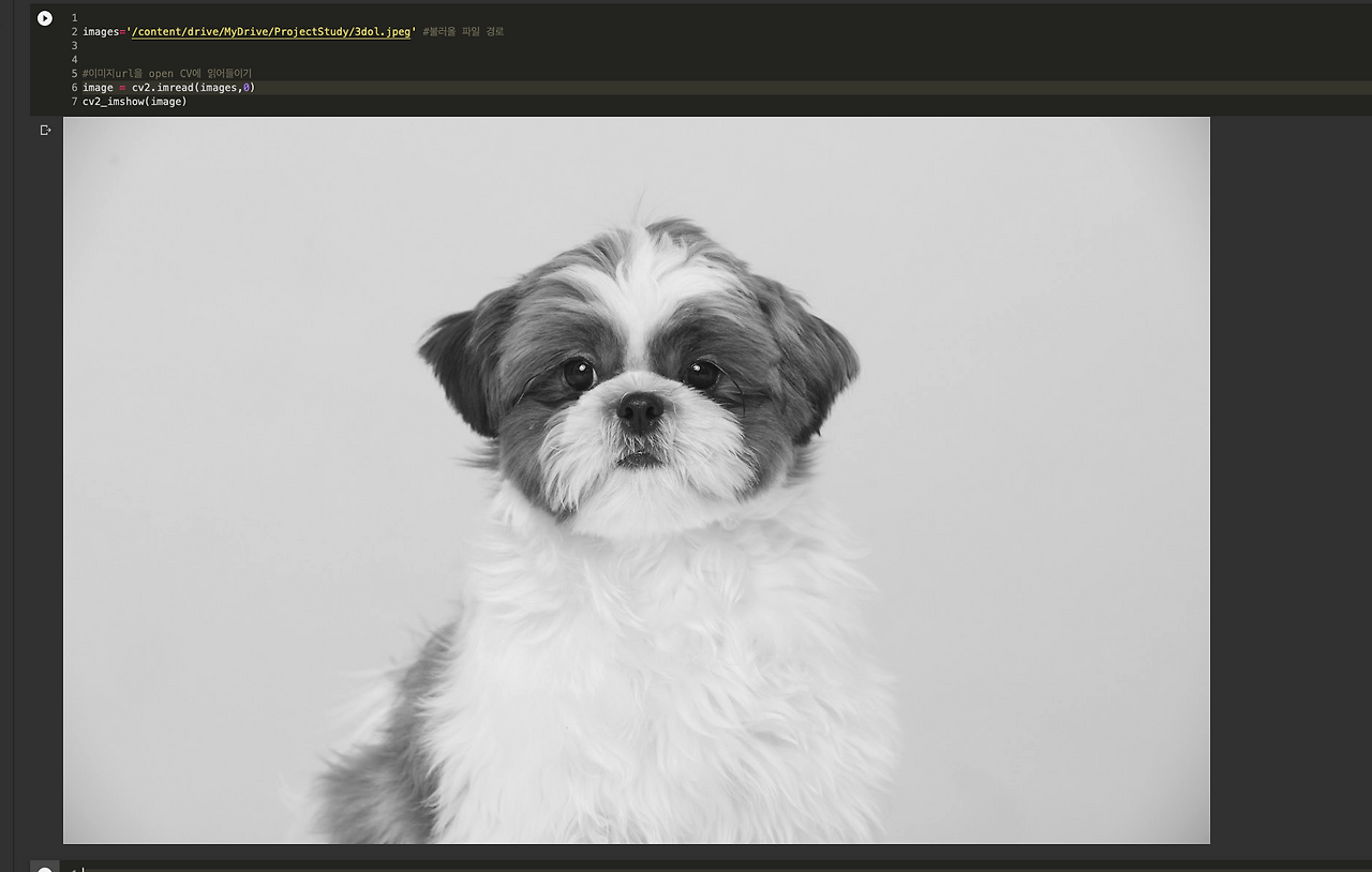 [ OpenCV ] colab에서 이미지 읽어오기, 보여주기, 저장하기 // 공유드라이브 마운트