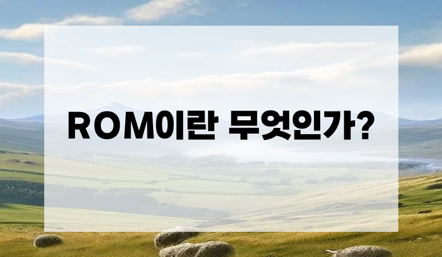 램 Ram과 롬 Rom 차이점 알아보기 빠르게 보여준다