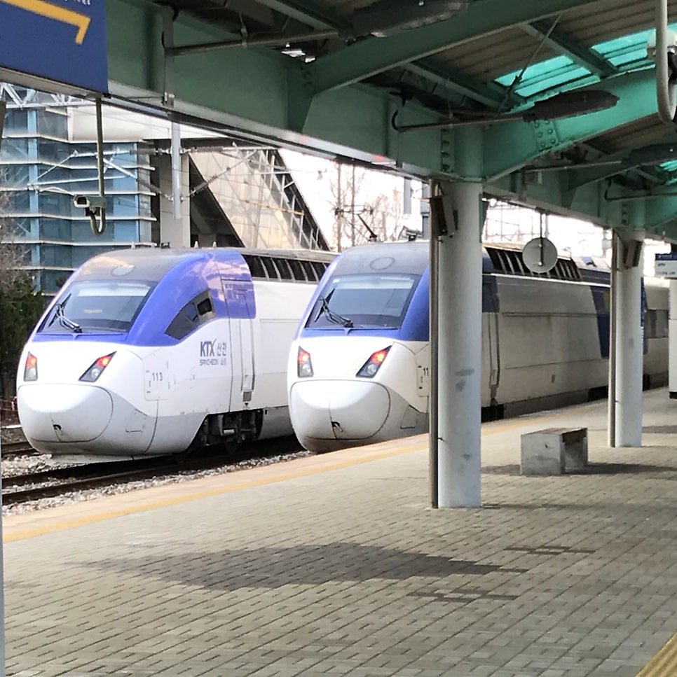 대한민국 기차 완벽 정리 Ktx Srt Itx까지 차이점 한눈에 비교🚅